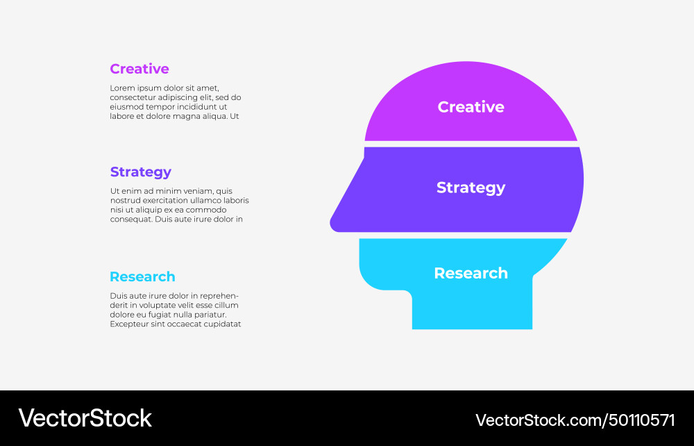 Human head diagram divided into 3 parts creative Vector Image