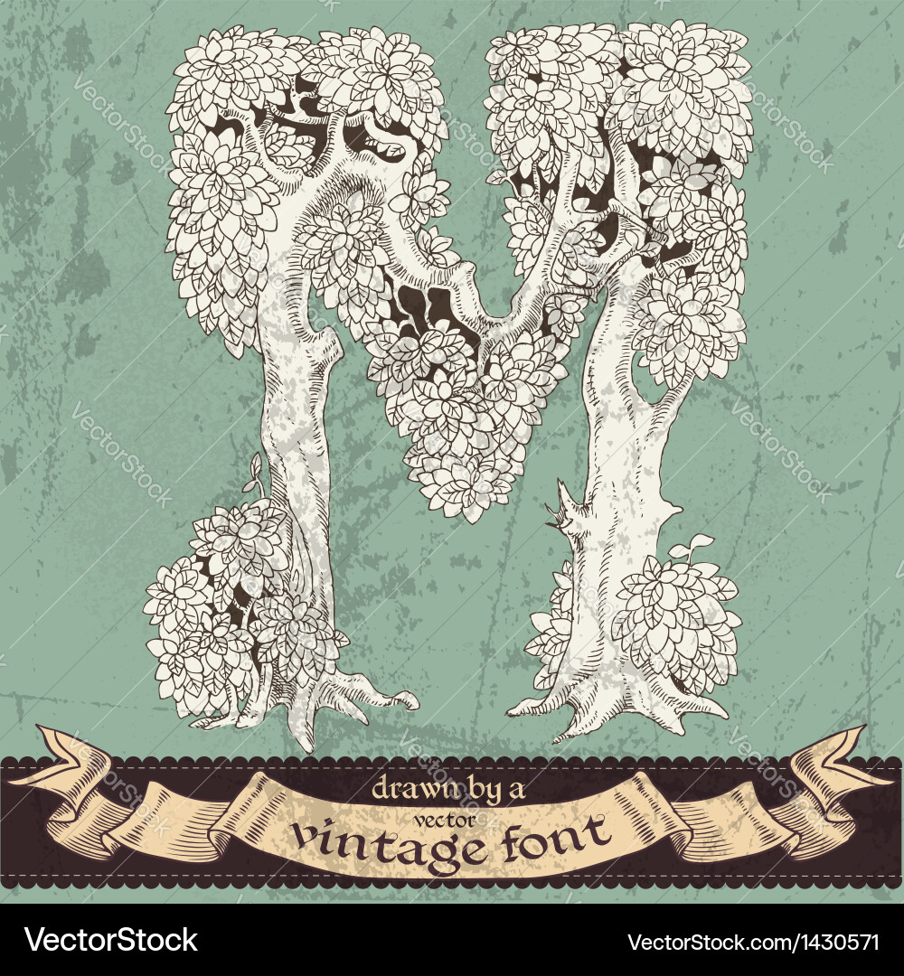 Magic grunge forest hand drawn by vintage font -m Vector Image