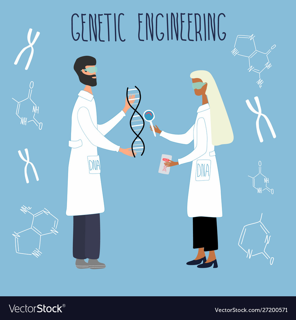 Scientists exploring dna structure Royalty Free Vector Image Scientists exploring dna structure Royalty Free Vector Image
