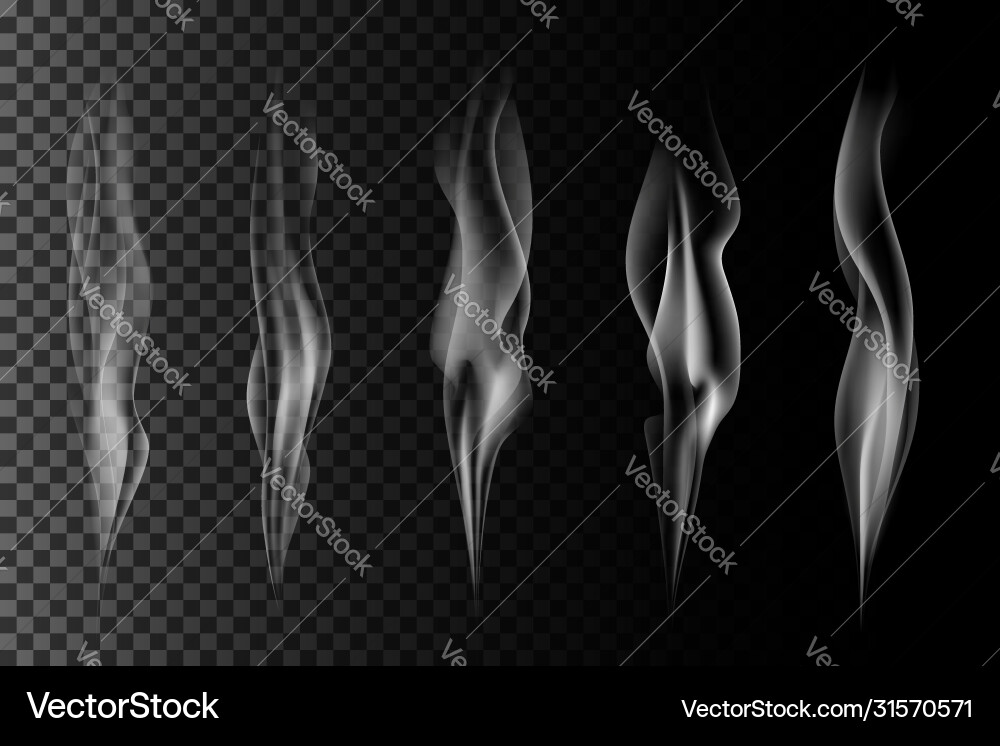 Set transparent gray smoke Royalty Free Vector Image