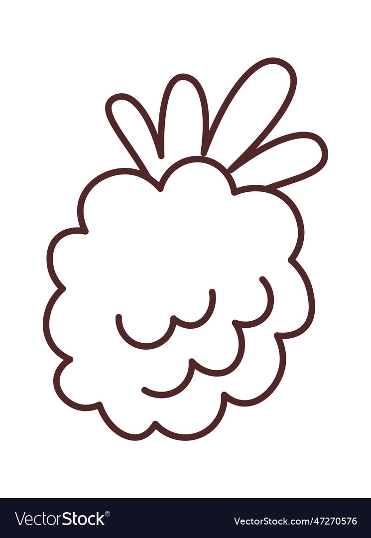 Linear raspberry icon Royalty Free Vector Image