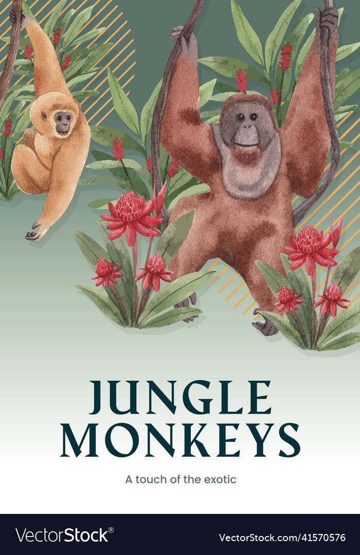 Poster template with monkey in the jungle Vector Image