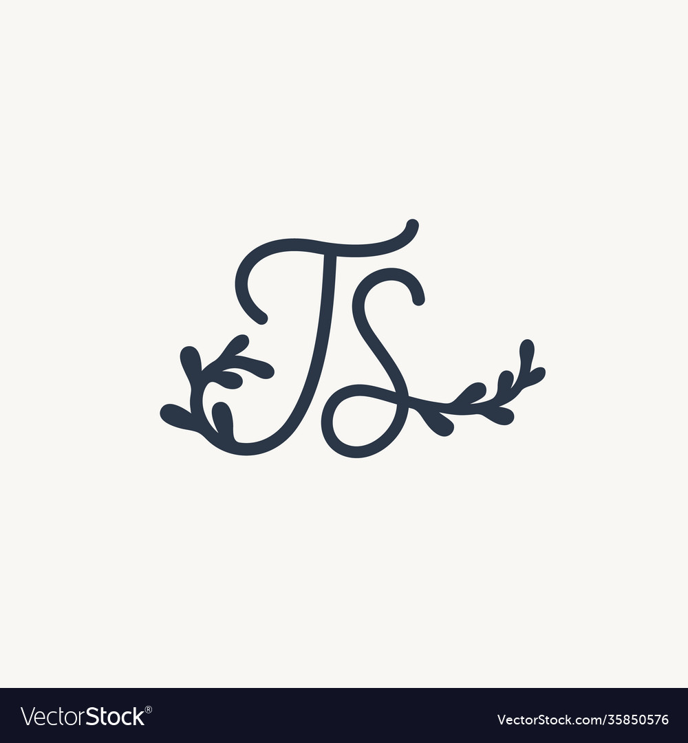 T s ts monogram logo ts minimalist handwriting Vector Image