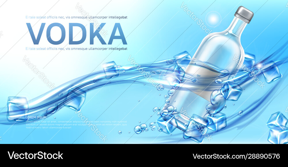 Vodka bottle with ice cubes mockup promo banner Vector Image