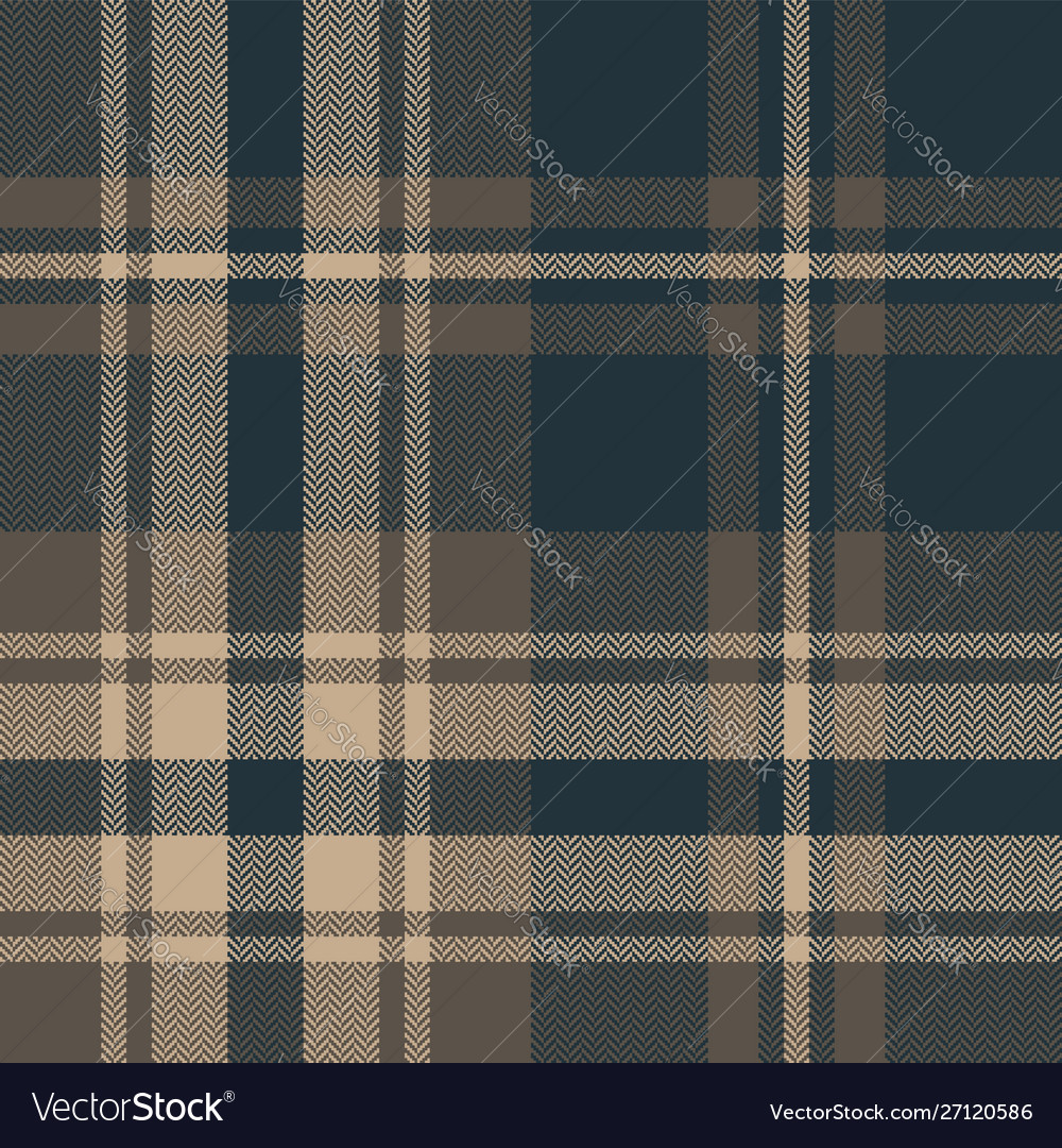 Brown plaid pattern Royalty Free Vector Image - VectorStock
