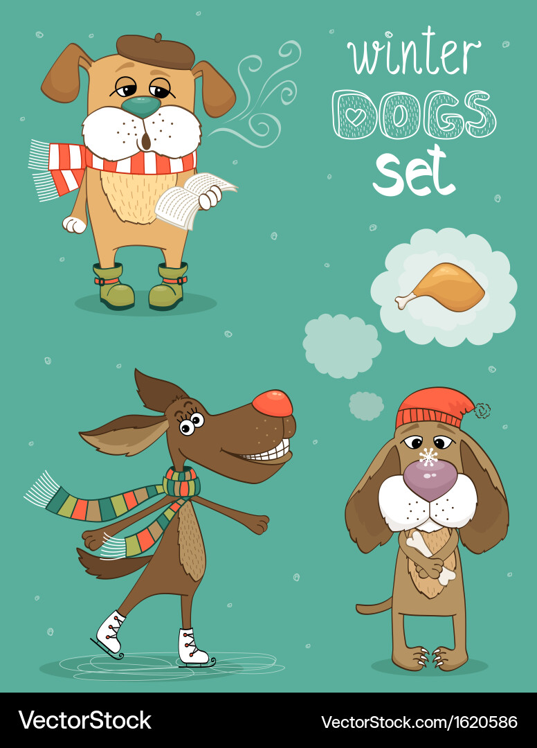 Winter dog Royalty Free Vector Image - VectorStock