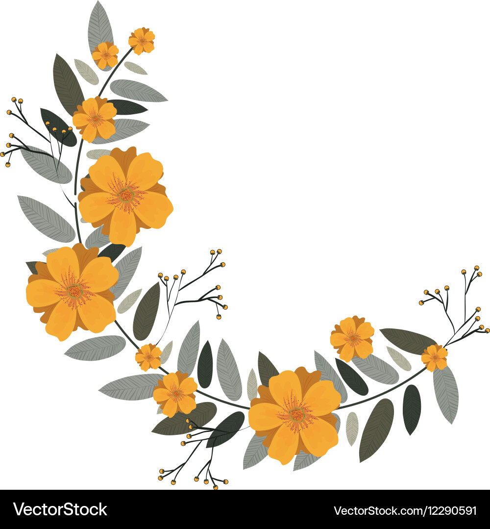 Beautiful flowers ornament Royalty Free Vector Image