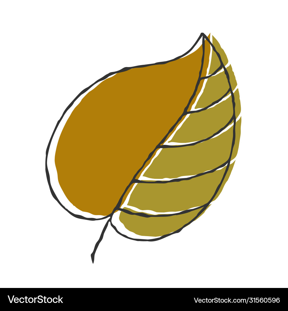 Color hand-drawn a plant leaf doodle style Vector Image