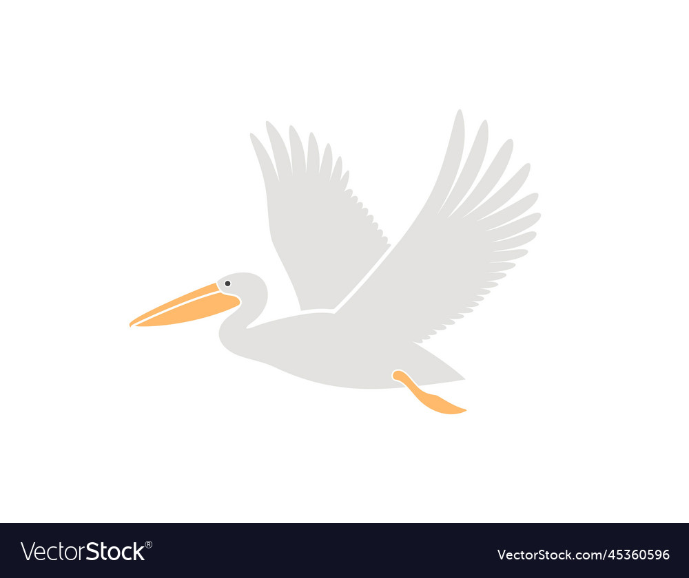 Pelican Royalty Free Vector Image - VectorStock