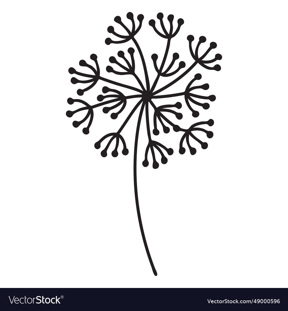 Simple dandelion stroke Royalty Free Vector Image