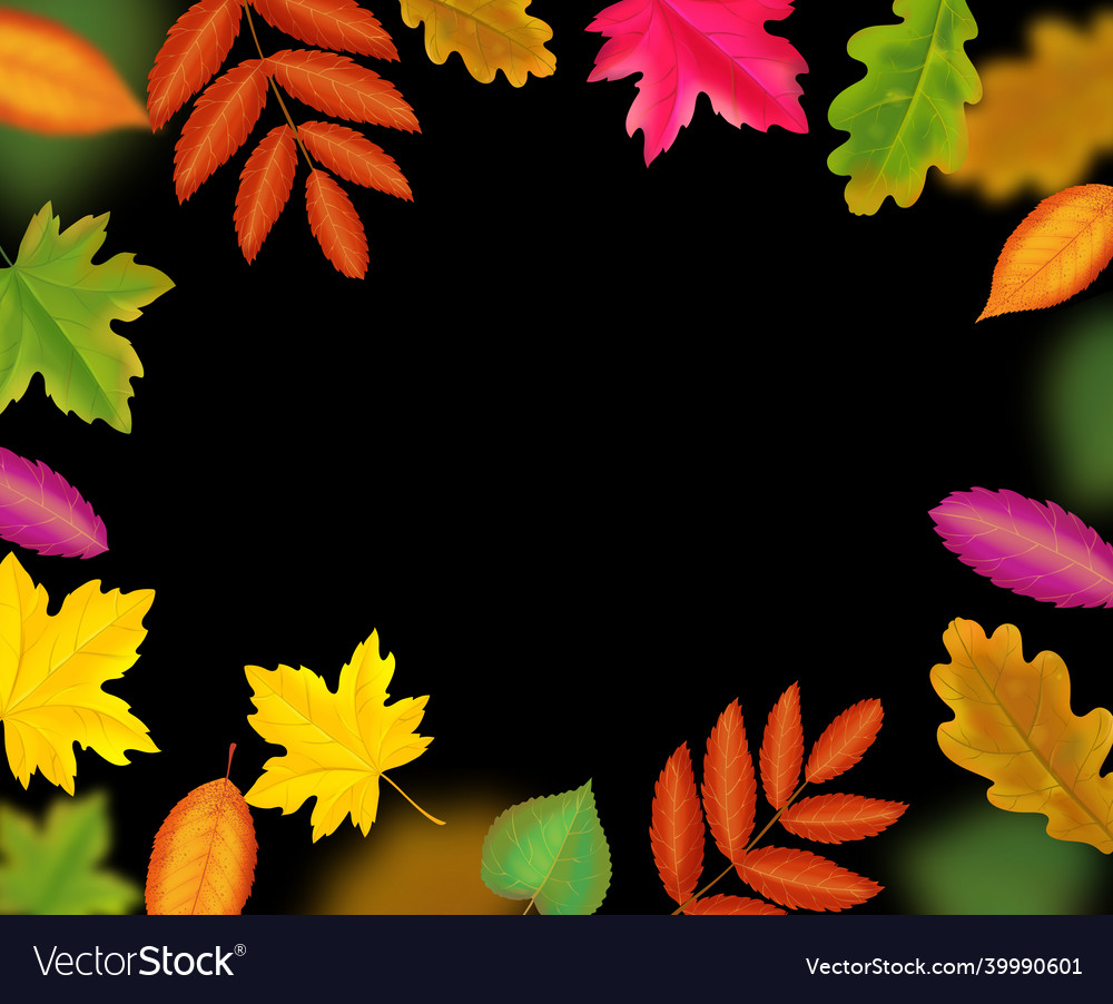 Colorful autumn leaves frame of fall foliage Vector Image