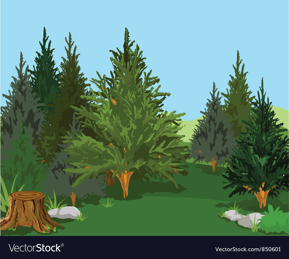Forest 003a Royalty Free Vector Image - VectorStock