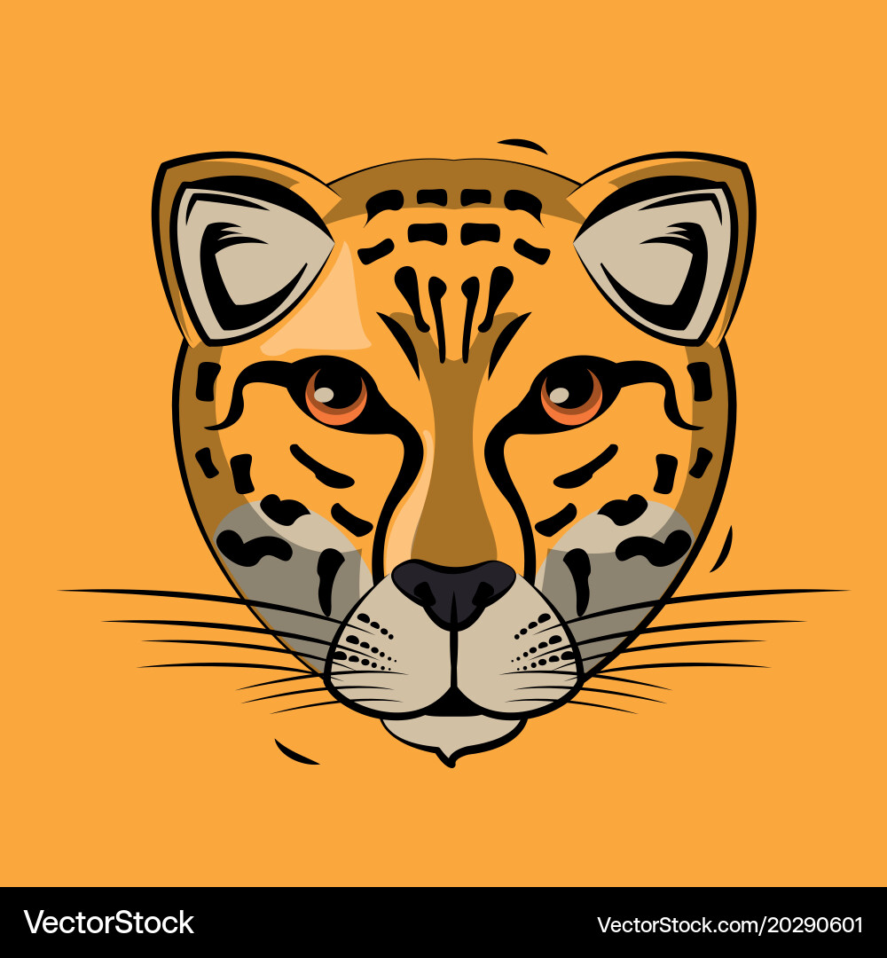 Leopard cartoon print for t shirt Royalty Free Vector Image