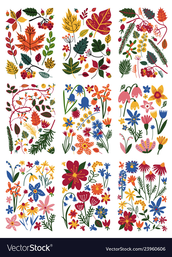 Collection floral patterns set colorful spring Vector Image