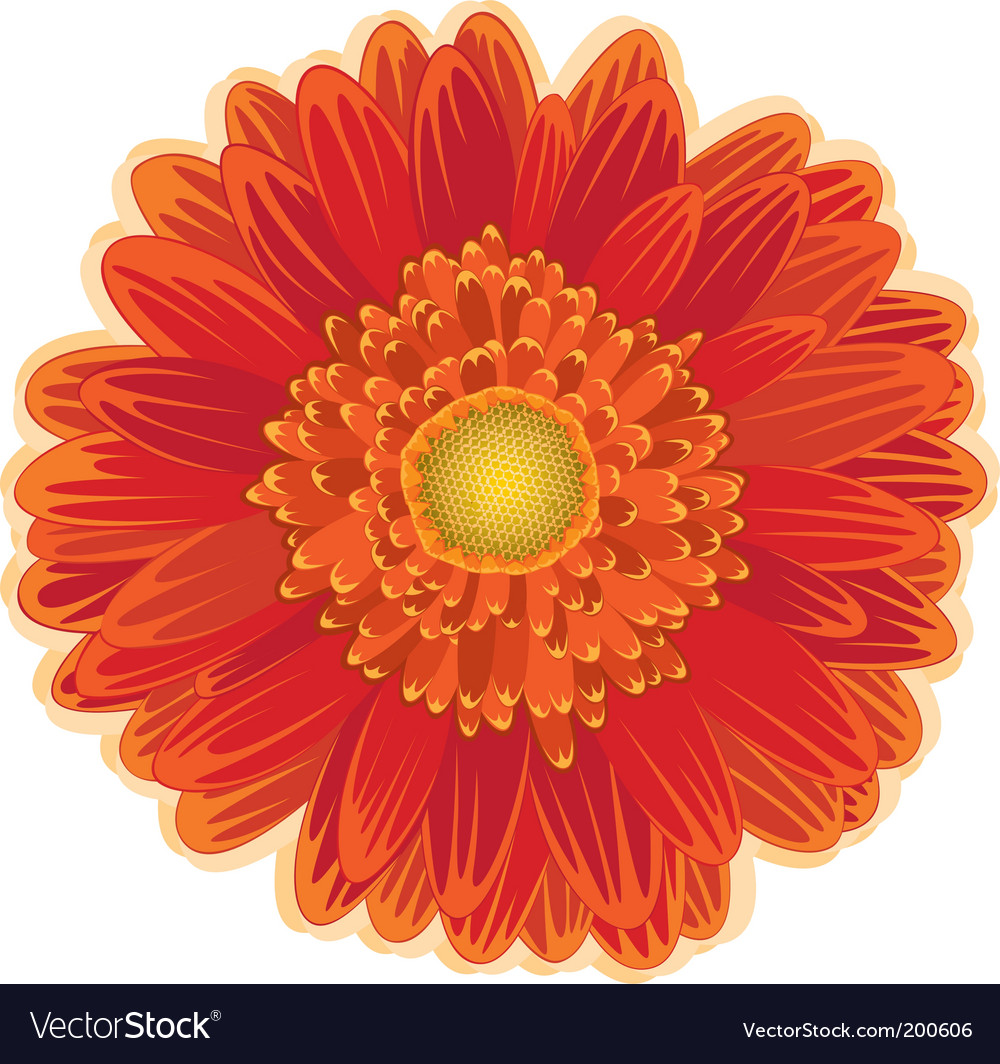 Flower Royalty Free Vector Image - VectorStock