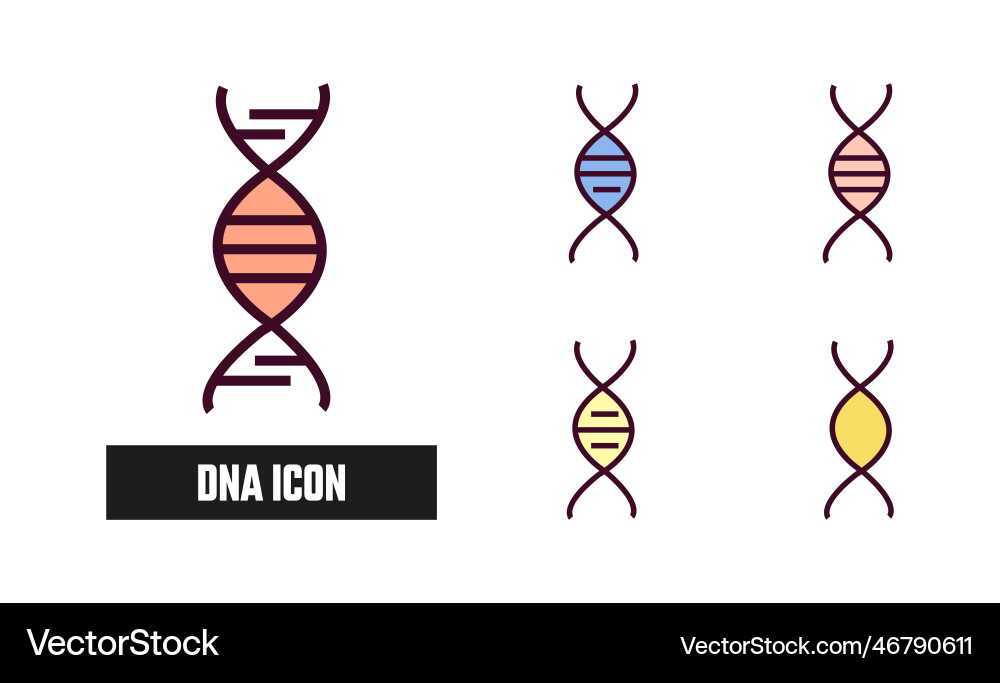 Dna icon lineal color icon Royalty Free Vector Image