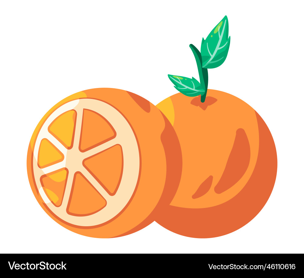 Orange fruit round and sliced fresh cartoon Vector Image