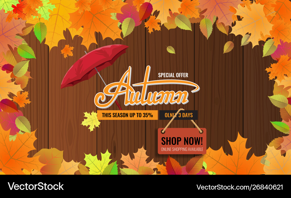 Autumn sale background layout sale Royalty Free Vector Image