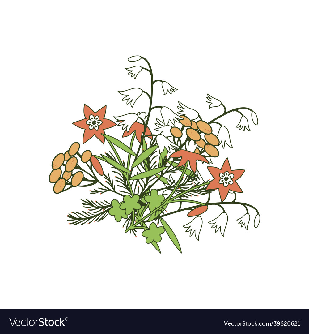 Isolated floral bunch Royalty Free Vector Image