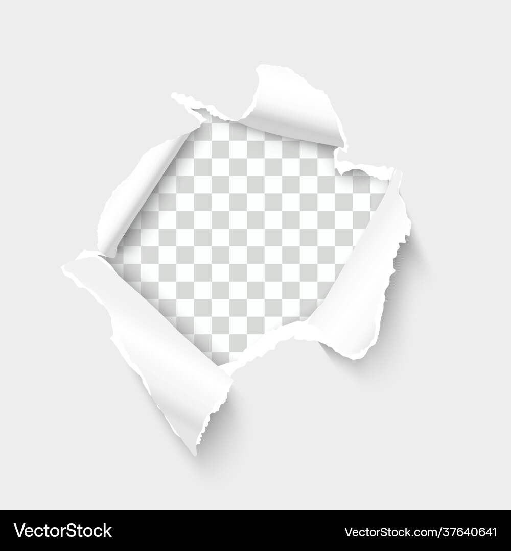 Paper hole torn white page with ripped Royalty Free Vector