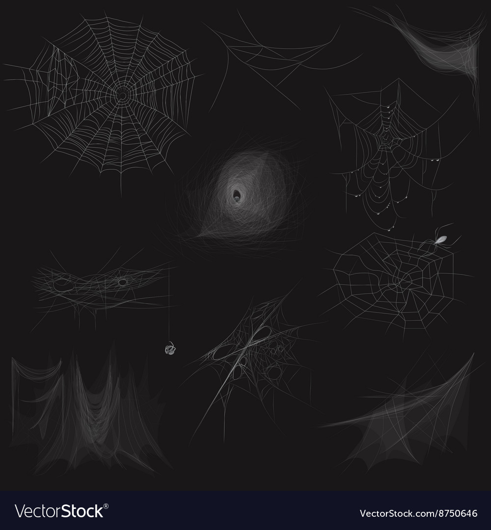 High quality set of spider web concept Royalty Free Vector