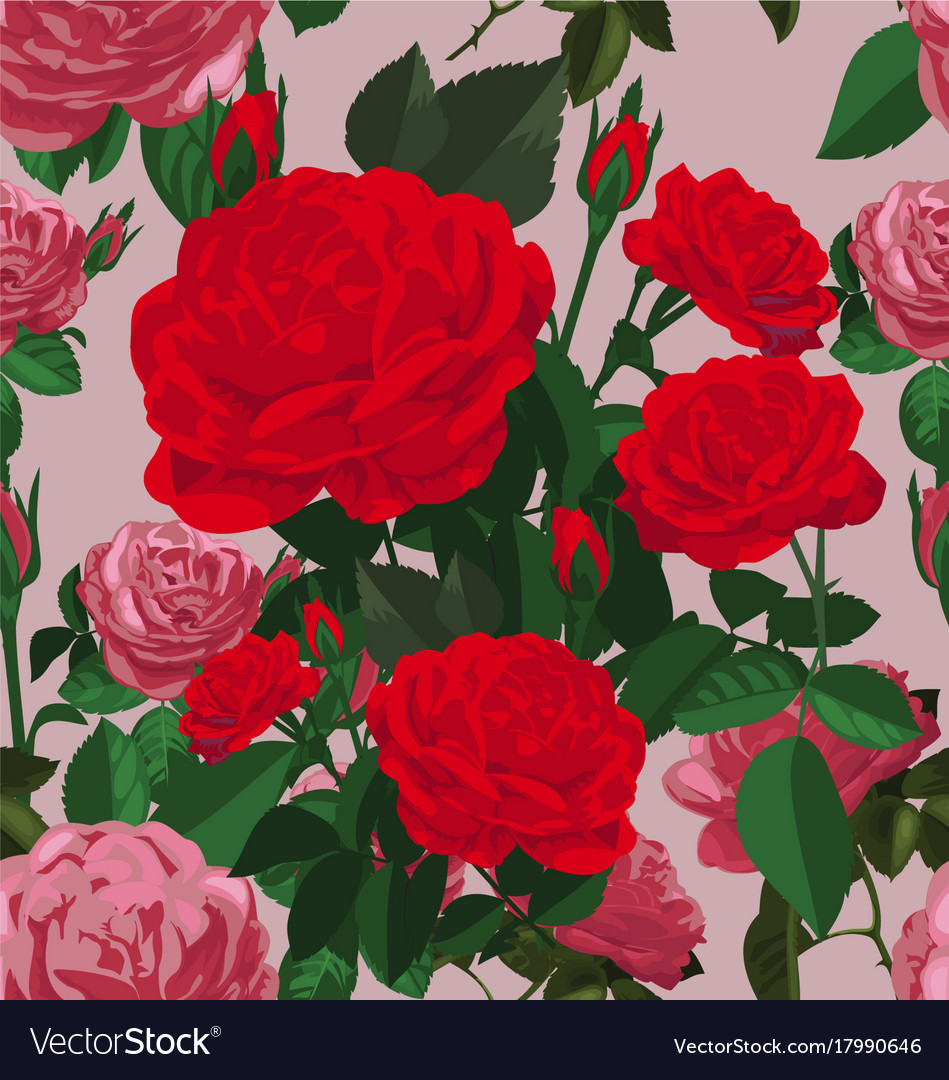 Rose seamless pattern Royalty Free Vector Image