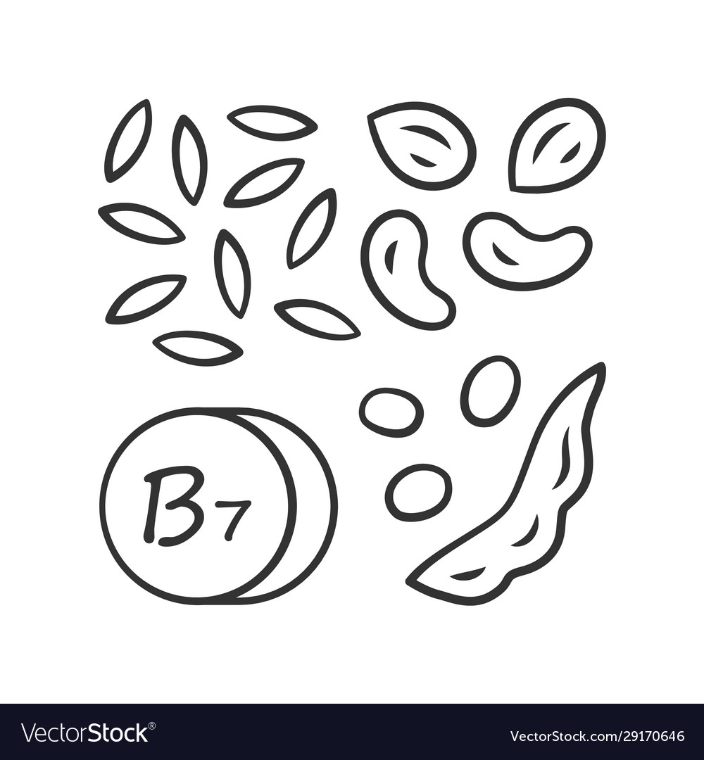 Vitamin b7 linear icon almonds and peanuts nuts Vector Image