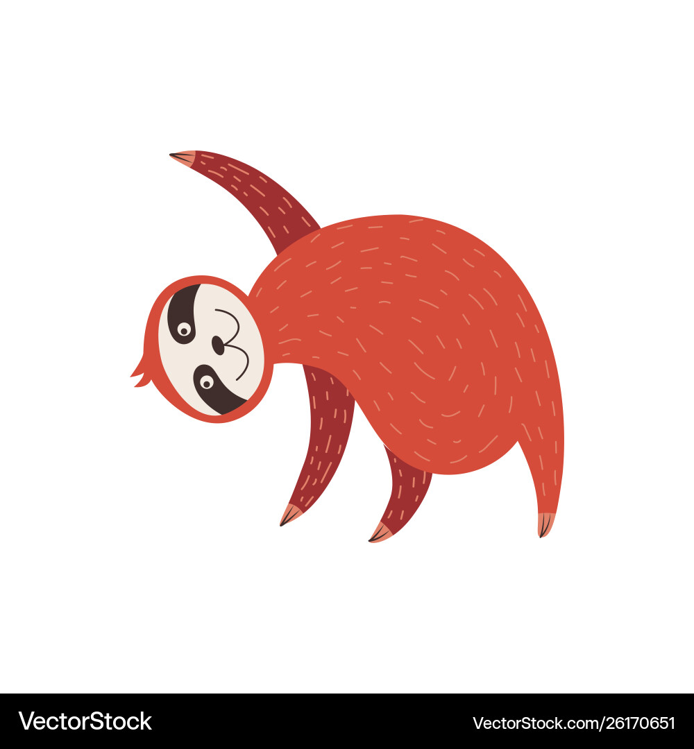 Cute sloth standing bent to side with paws Vector Image