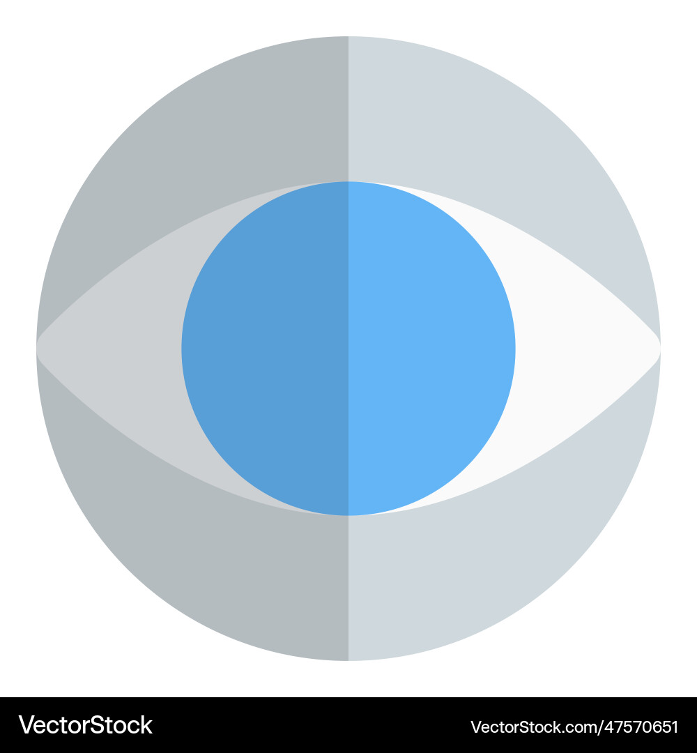 Spy software installed for monitoring Royalty Free Vector