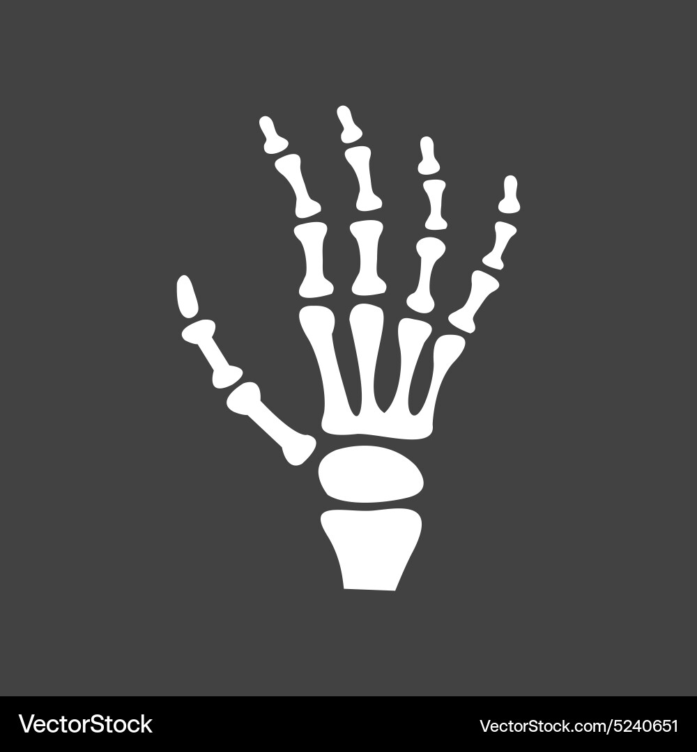 X-ray of hand Royalty Free Vector Image - VectorStock