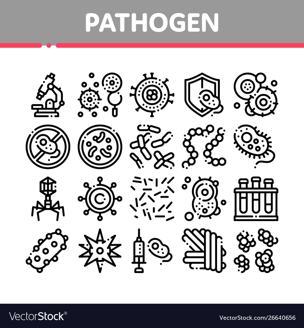 Collection pathogen elements sign icons set Vector Image