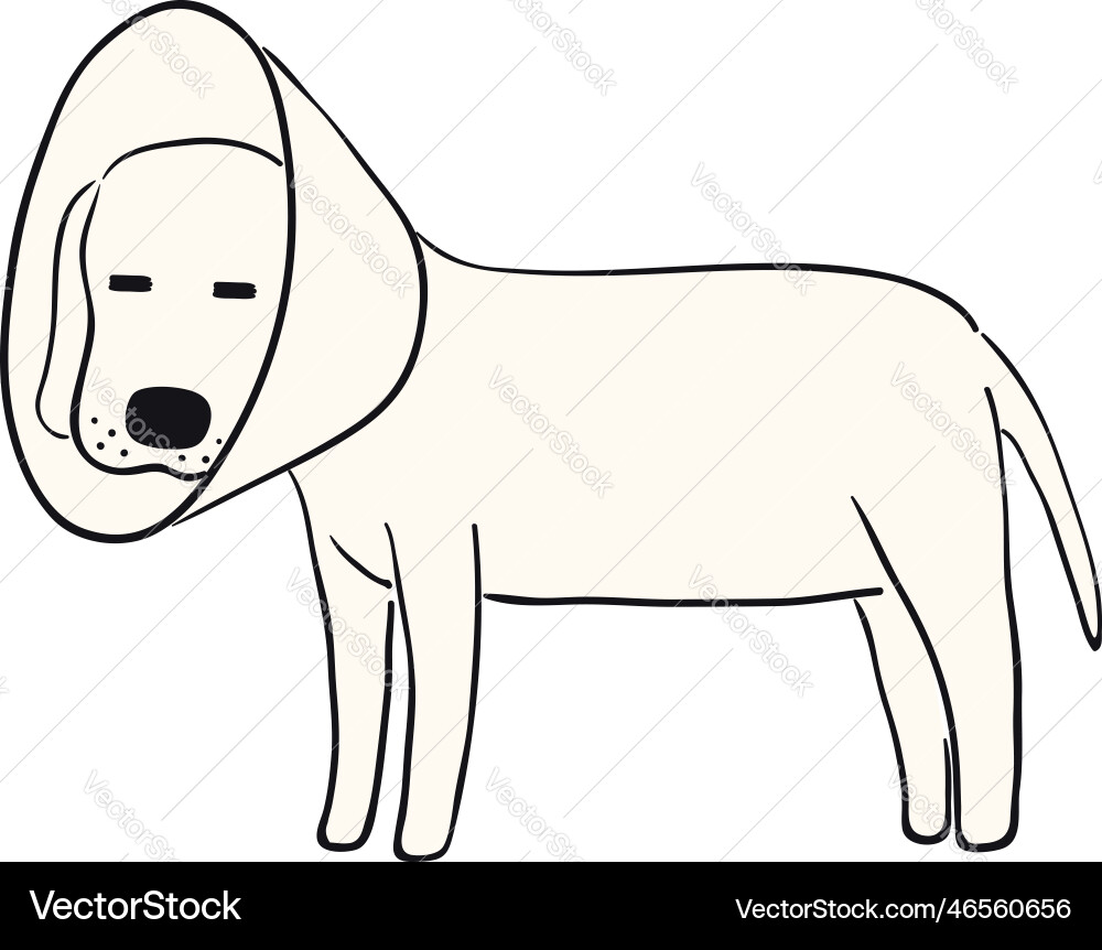 Cute cartoon dog wearing cone Royalty Free Vector Image