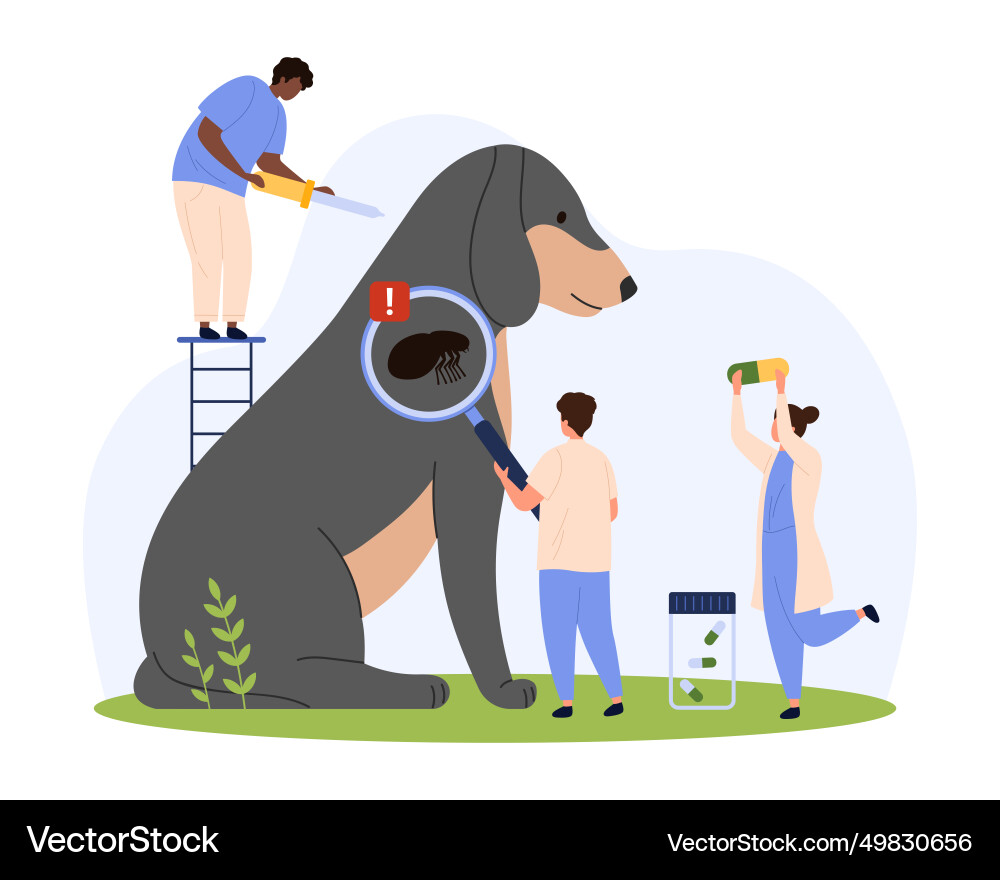 Diagnosis control and treatment of flea Royalty Free Vector