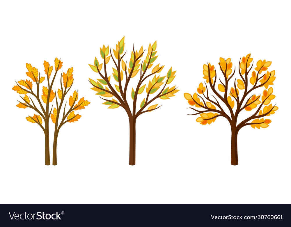 Autumn trees with bright orange foliage set Vector Image