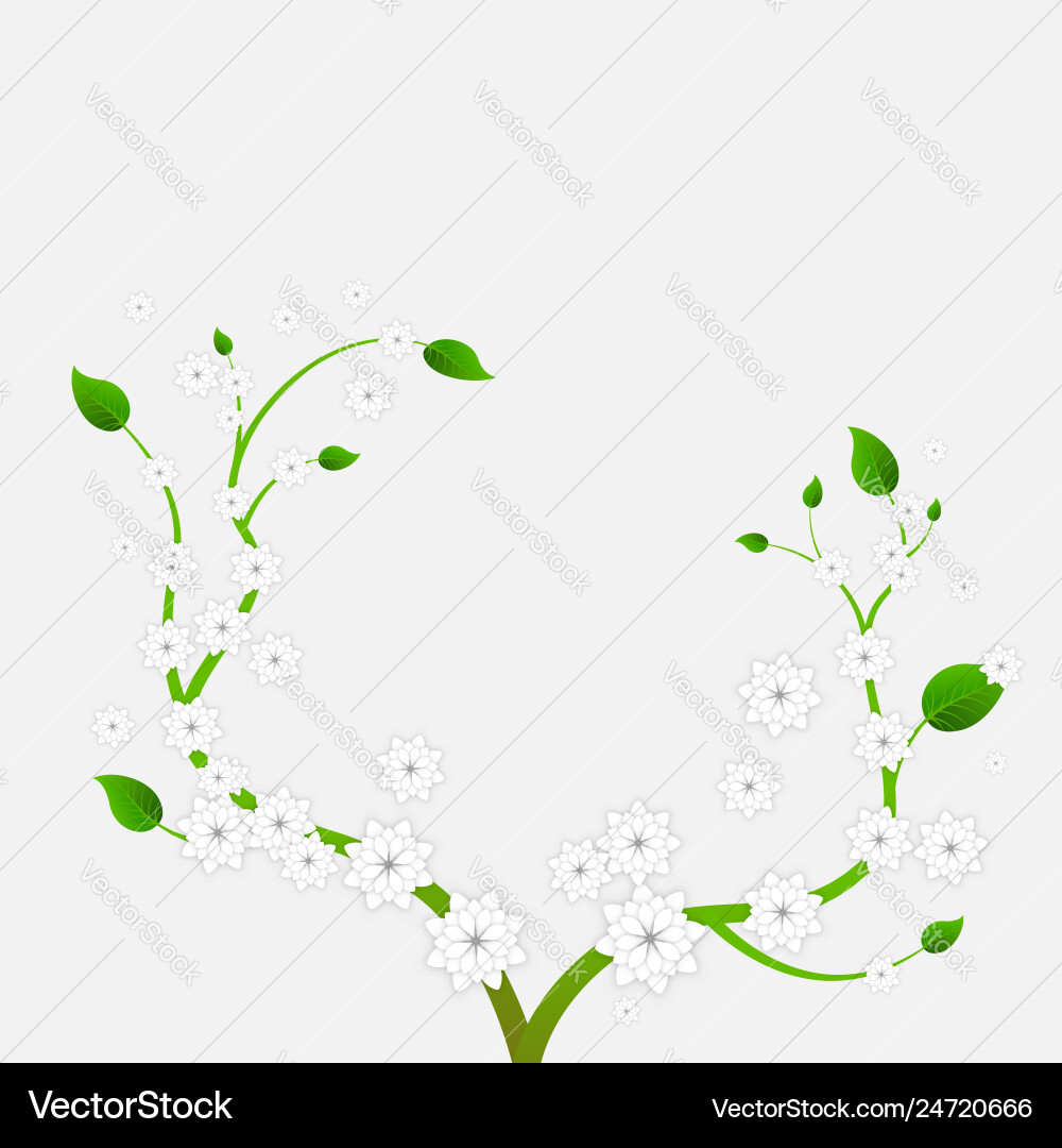 Blooming plant with white flowers Royalty Free Vector Image