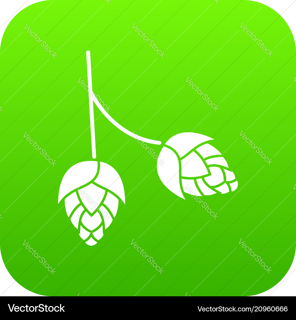 Branch of hops icon digital green Royalty Free Vector Image