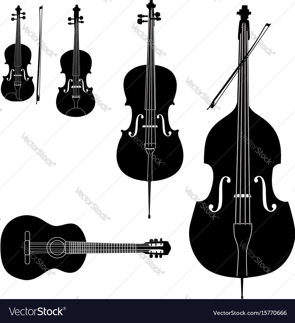 Music instruments set stringed musical instrument Vector Image