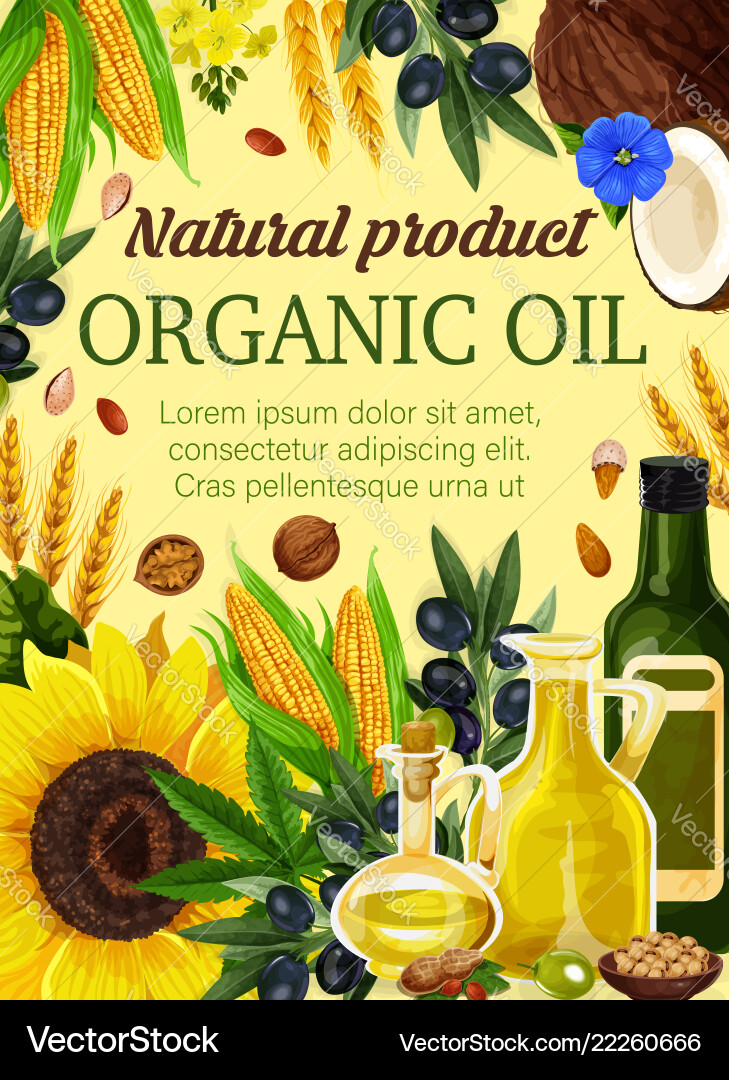 Natural oil from seeds and nuts Royalty Free Vector Image