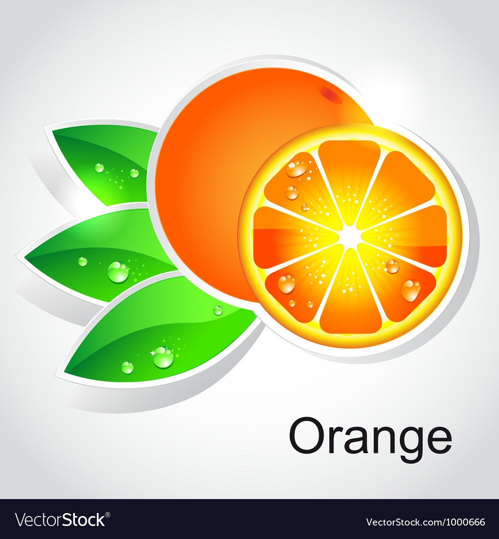 Orange Royalty Free Vector Image - VectorStock