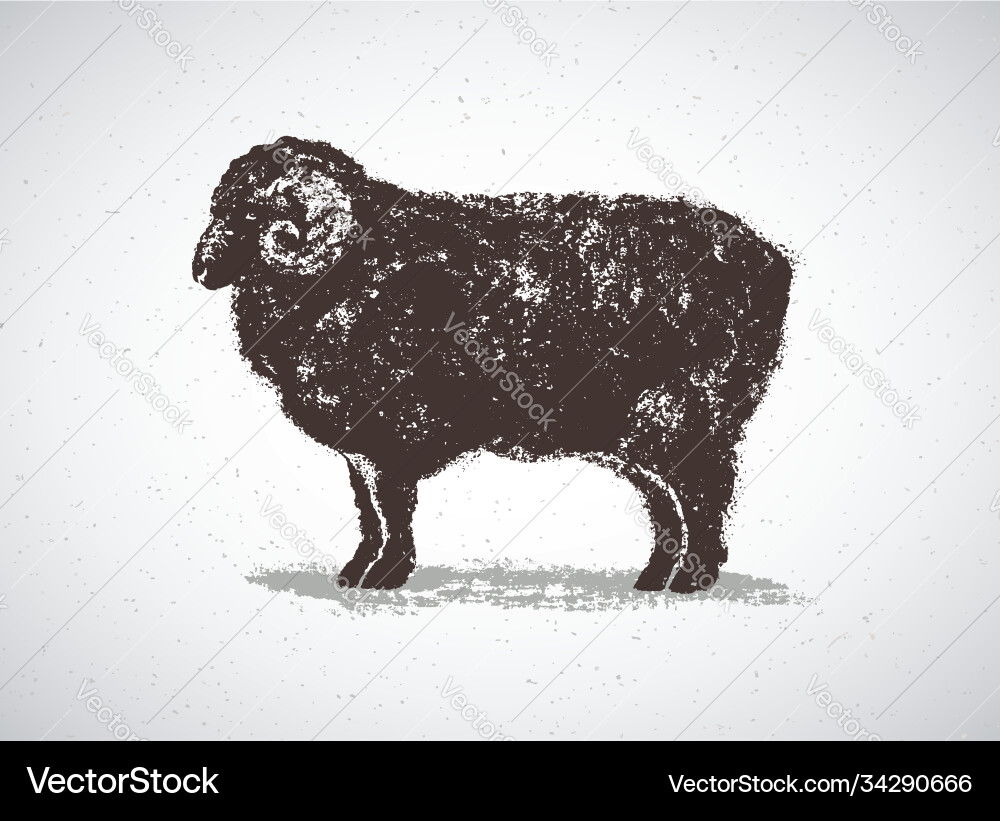Ram graphic silhouette drawn hand on paper Vector Image