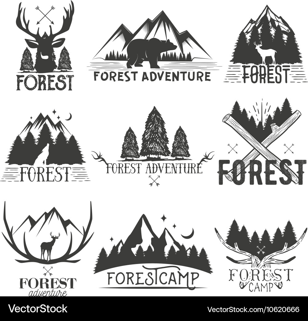 Set of forest theme emblems vintage badges Vector Image