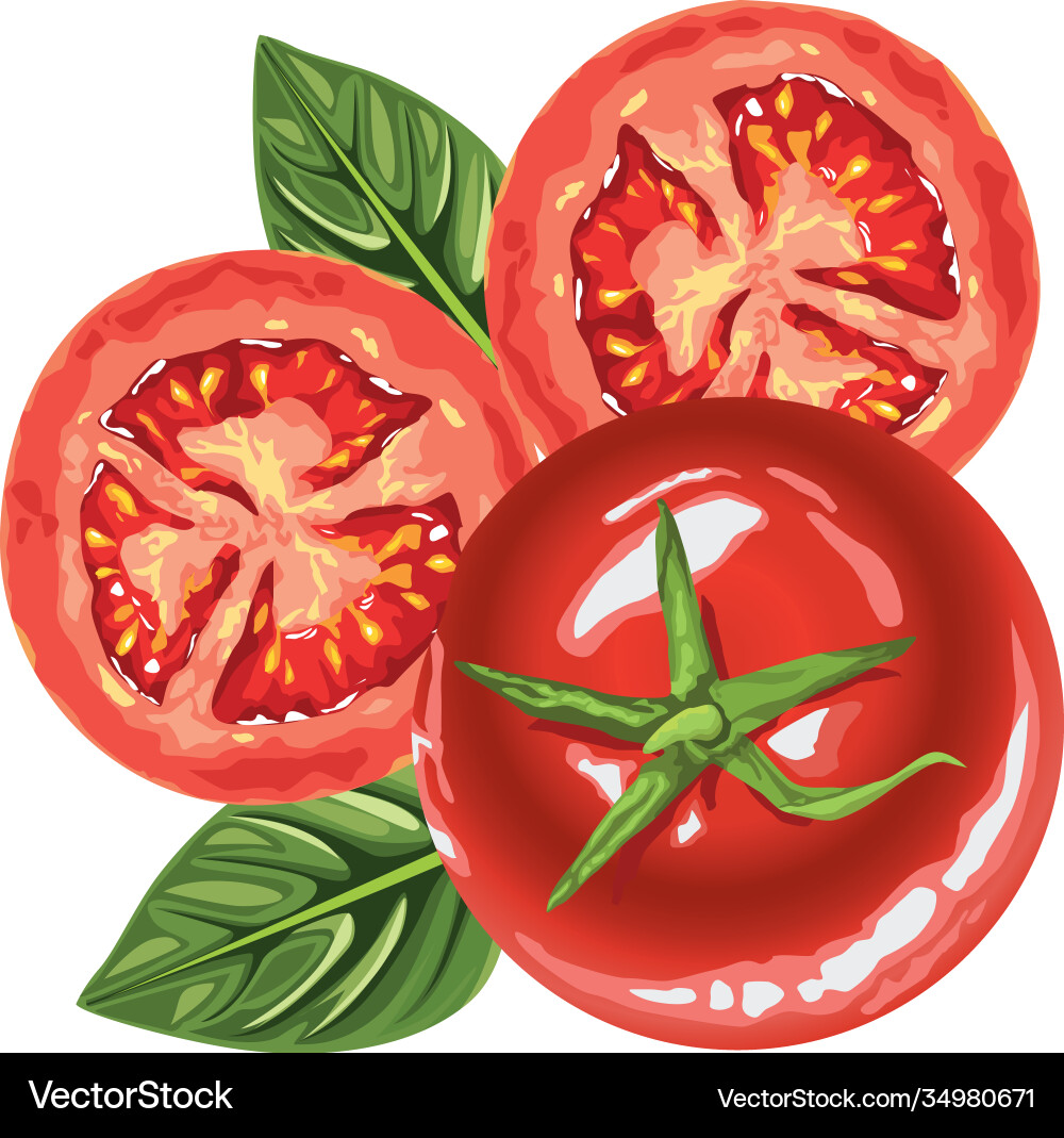 Fresh tomatoes vegetables healthy icons Royalty Free Vector