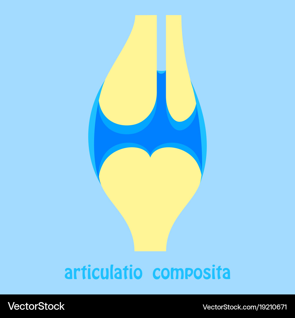Knee joint health care icon flat Royalty Free Vector Image
