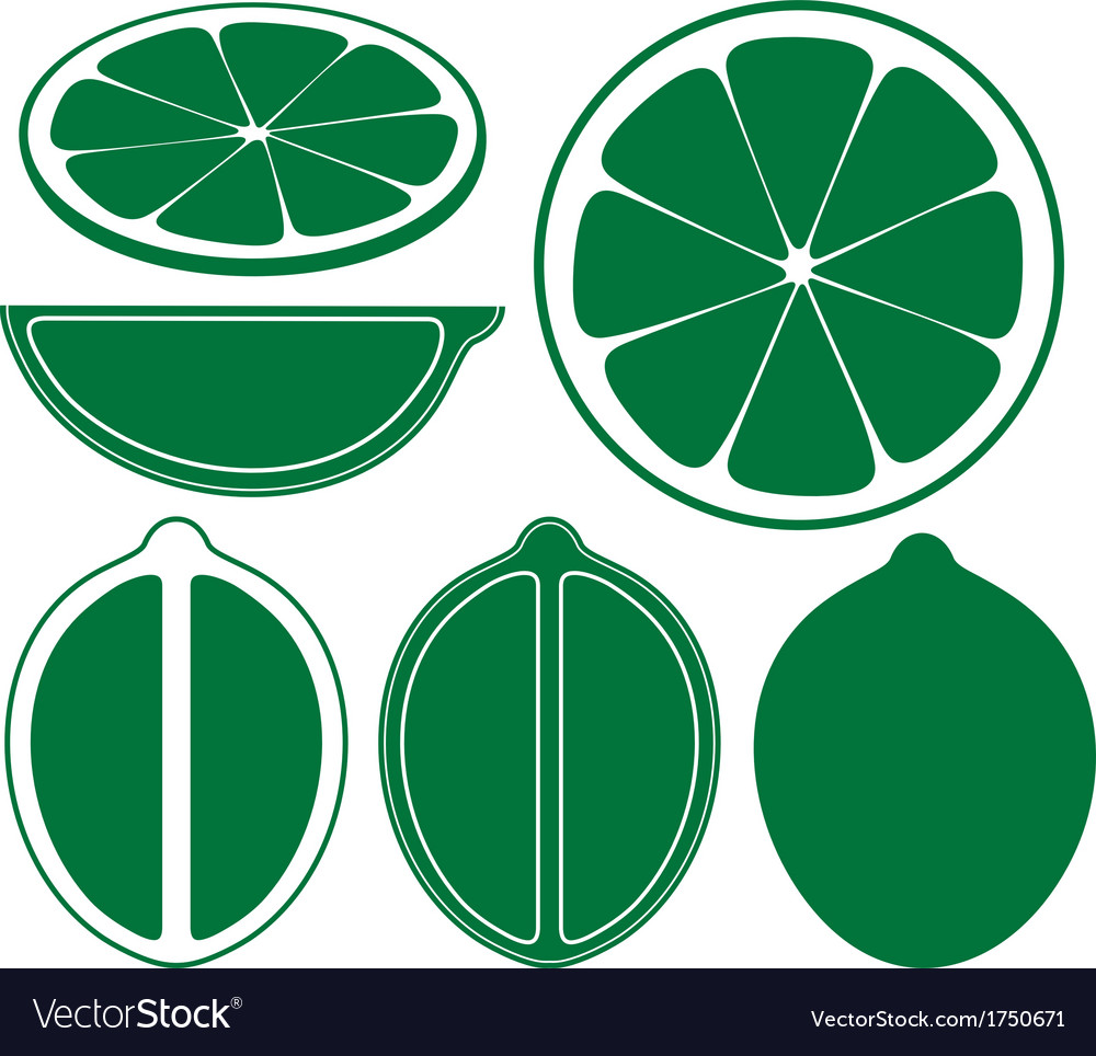 Lime Royalty Free Vector Image - VectorStock