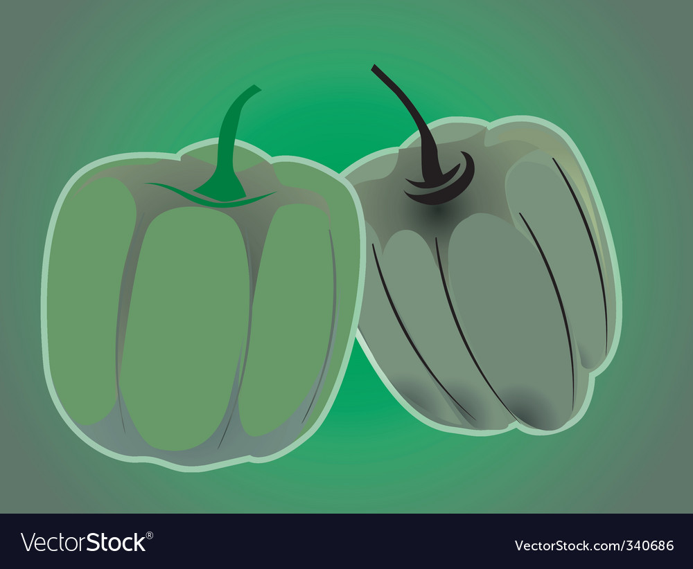 Capsicum Royalty Free Vector Image - VectorStock