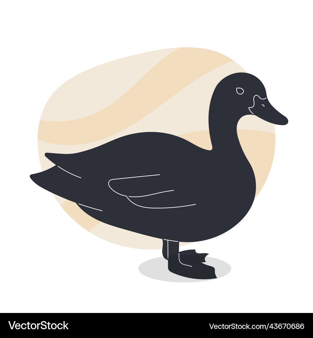 Hand drawn animal duck silhouette Royalty Free Vector Image