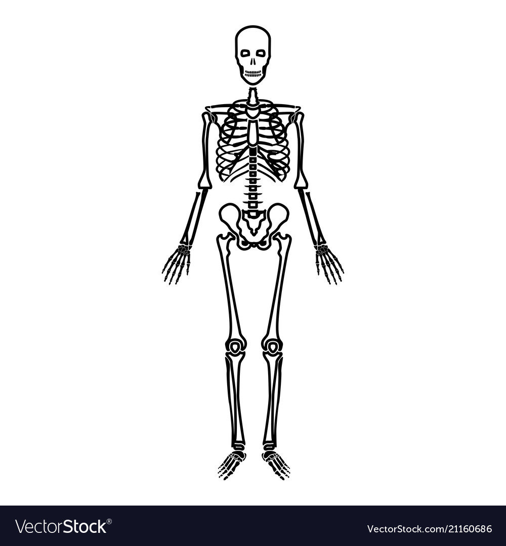 Human Skeleton Icon Black Color Flat Style Simple Vector Image