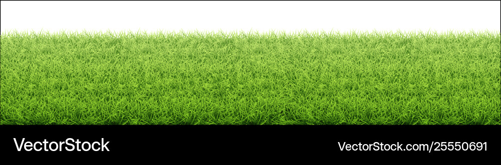 Green grass lawn border from fresh field Vector Image