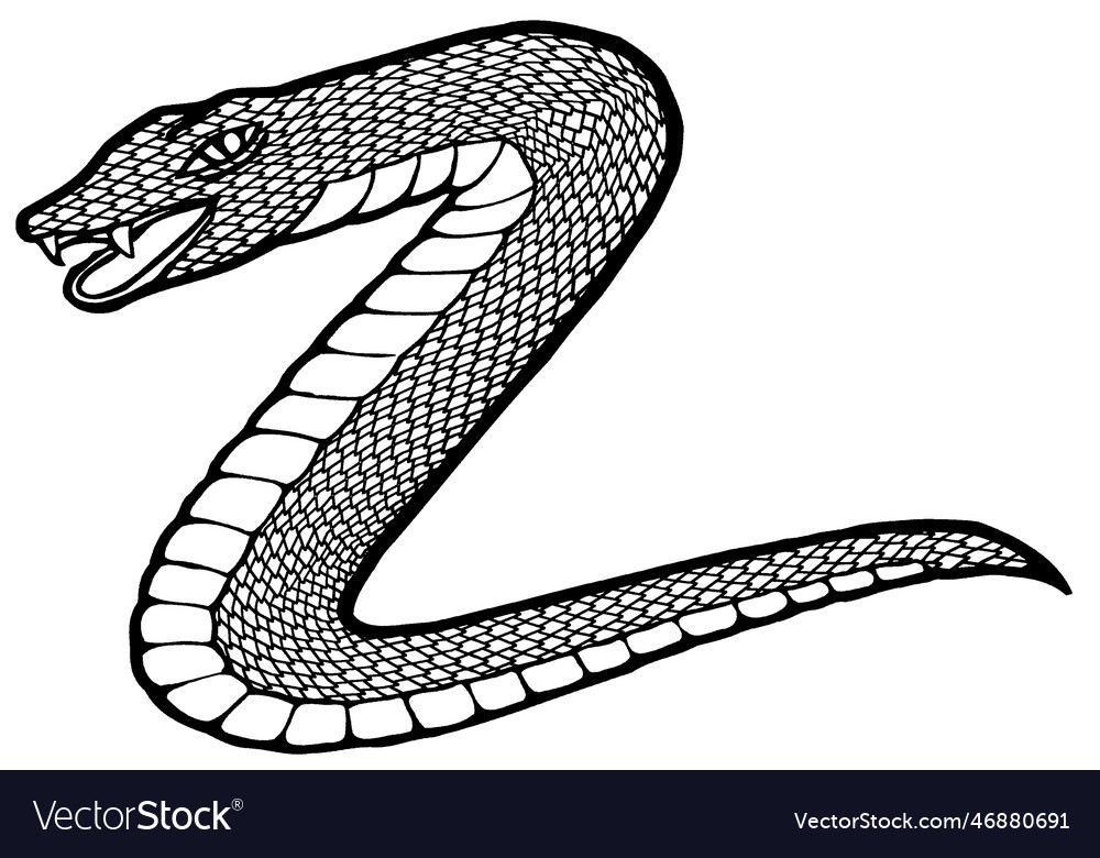 Line art of a snake with scales Royalty Free Vector Image