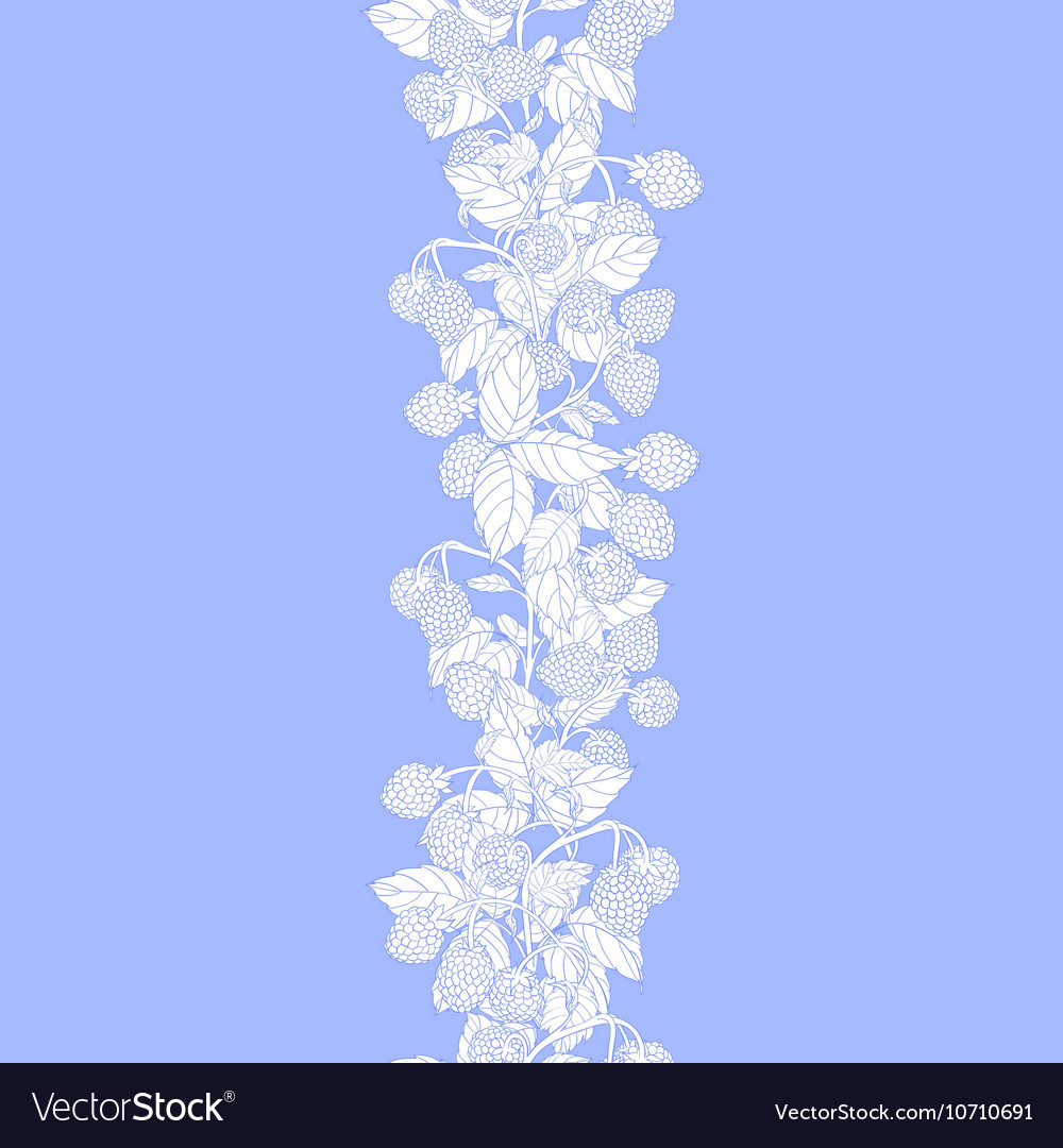Raspberry border blue Royalty Free Vector Image